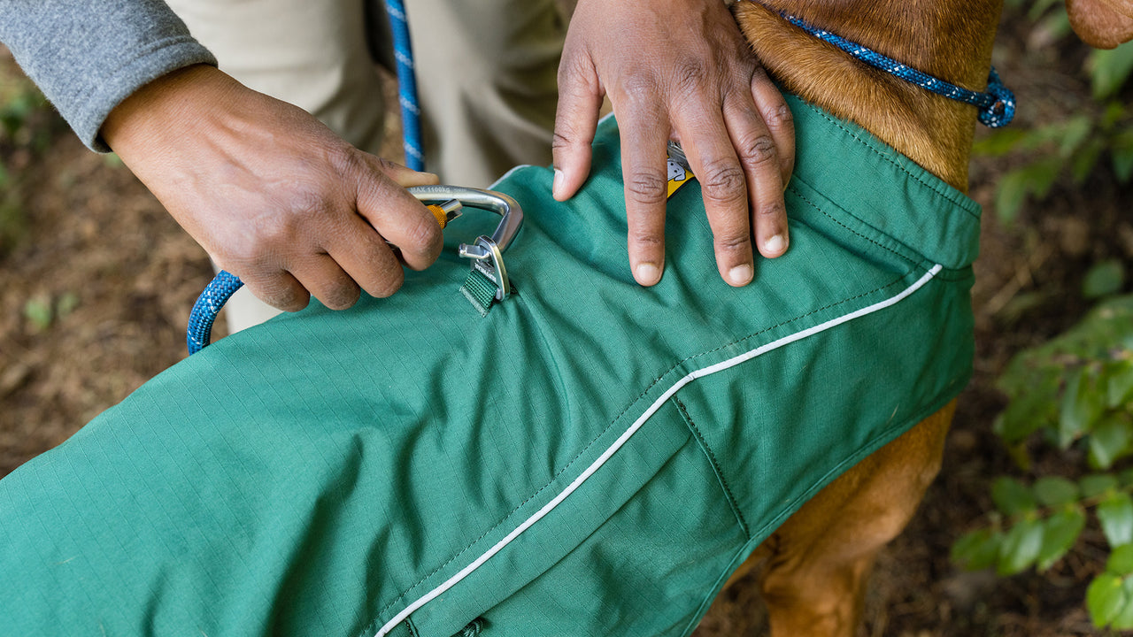 Best Dog Jacket with Built-In Harness: The Overcoat Fuse™ – The Dog ...