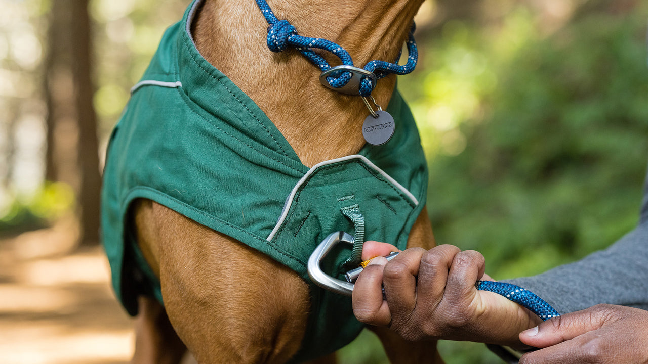 Best Dog Jacket with Built-In Harness: The Overcoat Fuse™ – The Dog ...