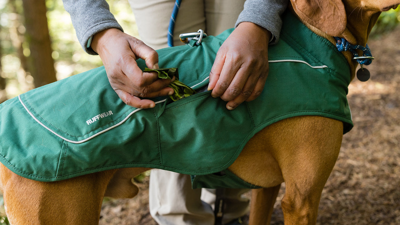 Best Dog Jacket with Built-In Harness: The Overcoat Fuse™ – The Dog ...