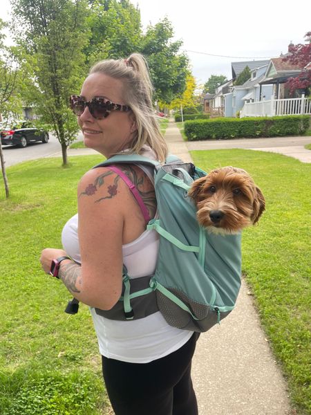 Hitch Hiker™ Dog Bike Backpack Carrier For Dogs Up To 40 lbs. – The Dog ...