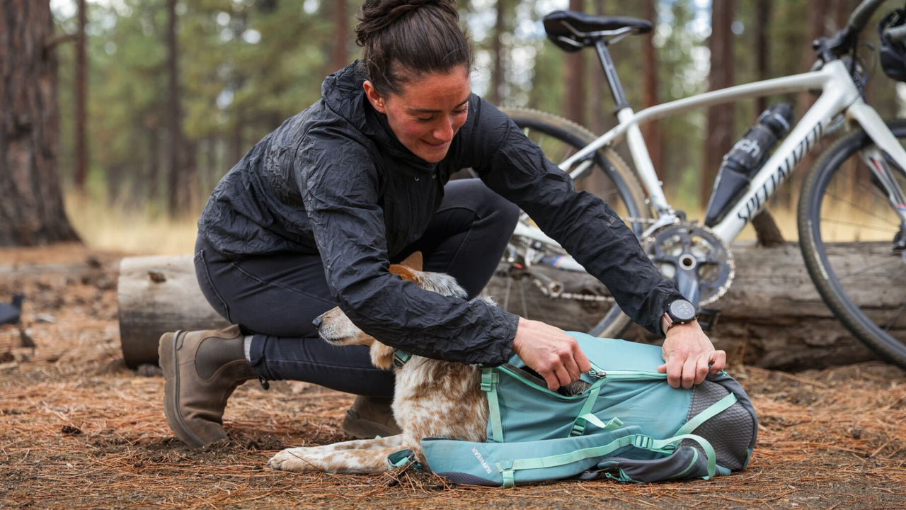 Hitch Hiker™ Dog Bike Backpack Carrier For Dogs Up To 40 lbs. – The Dog ...