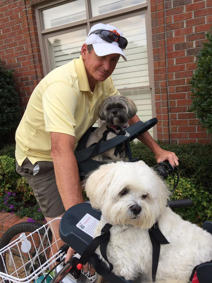 Buddyrider Dog Bicycle Seat Attachment & Accessories | Product Reviews ...