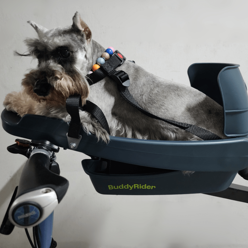 Buddyrider Series 2 Dog Bicycle Seat | Dog Bike Seat For Dogs Up To 25 ...