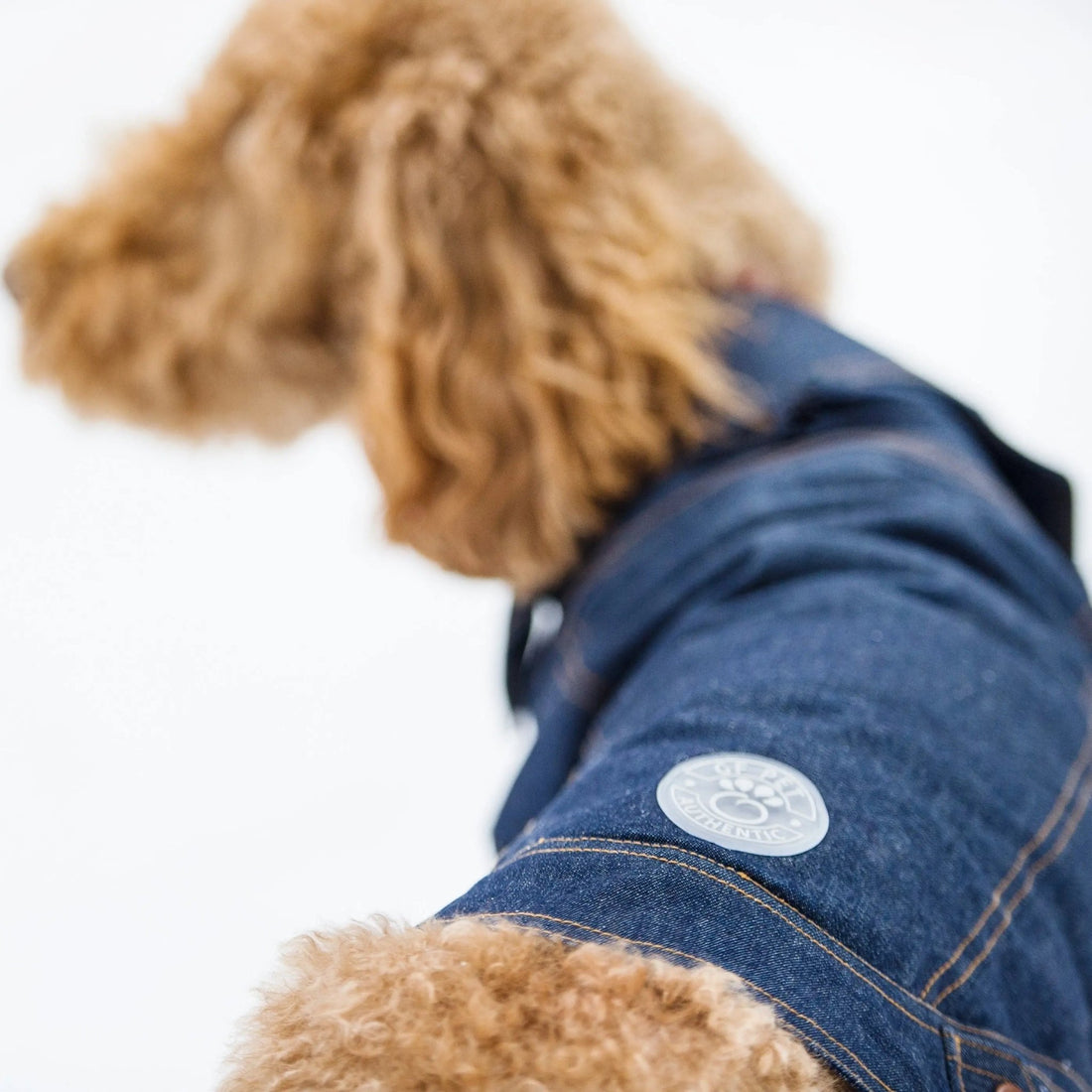 GF PET® Dark Wash Denim Jean Coat Winter | Denim Blue Sherpa-Lined ...