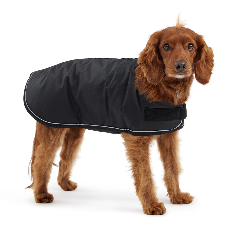 Winter Dog Coats & Jackets | Warm & Waterproof Dog Winter Coats – The ...