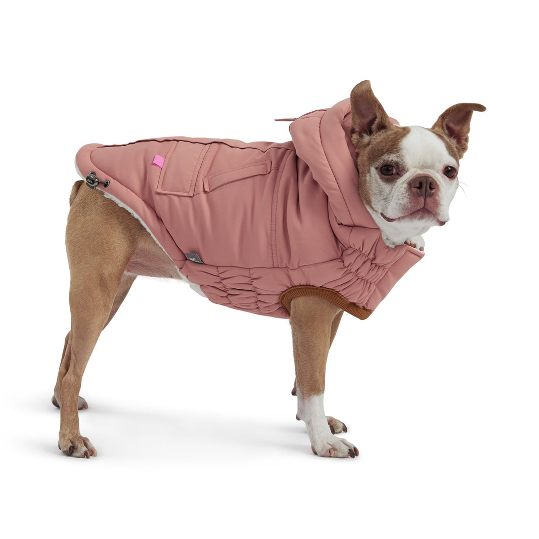 Best Winter Jackets For Boxer Dogs – The Dog Outdoors