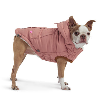 Best Winter Jackets For Boxer Dogs – The Dog Outdoors