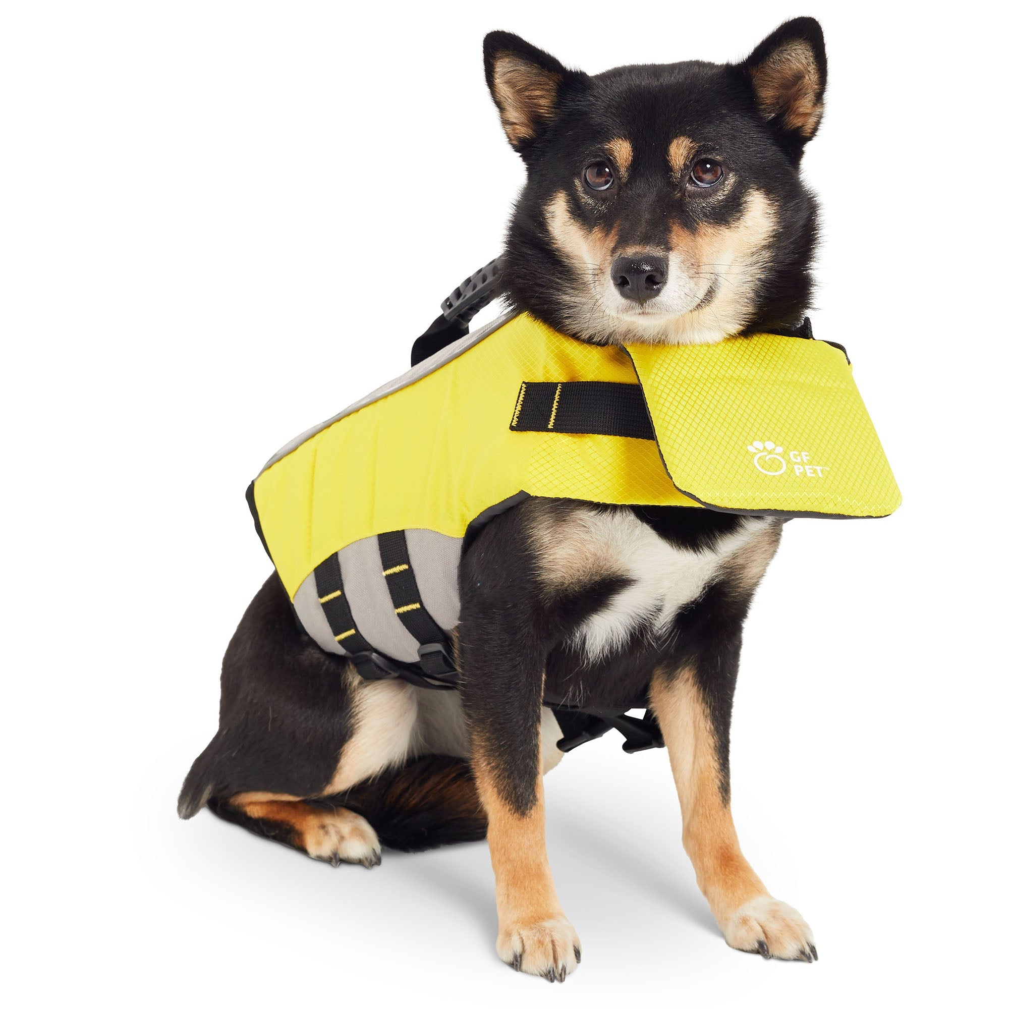 Top 6 Best Dog Life Jackets For 2025 | Tested and Reviewed For Safety ...