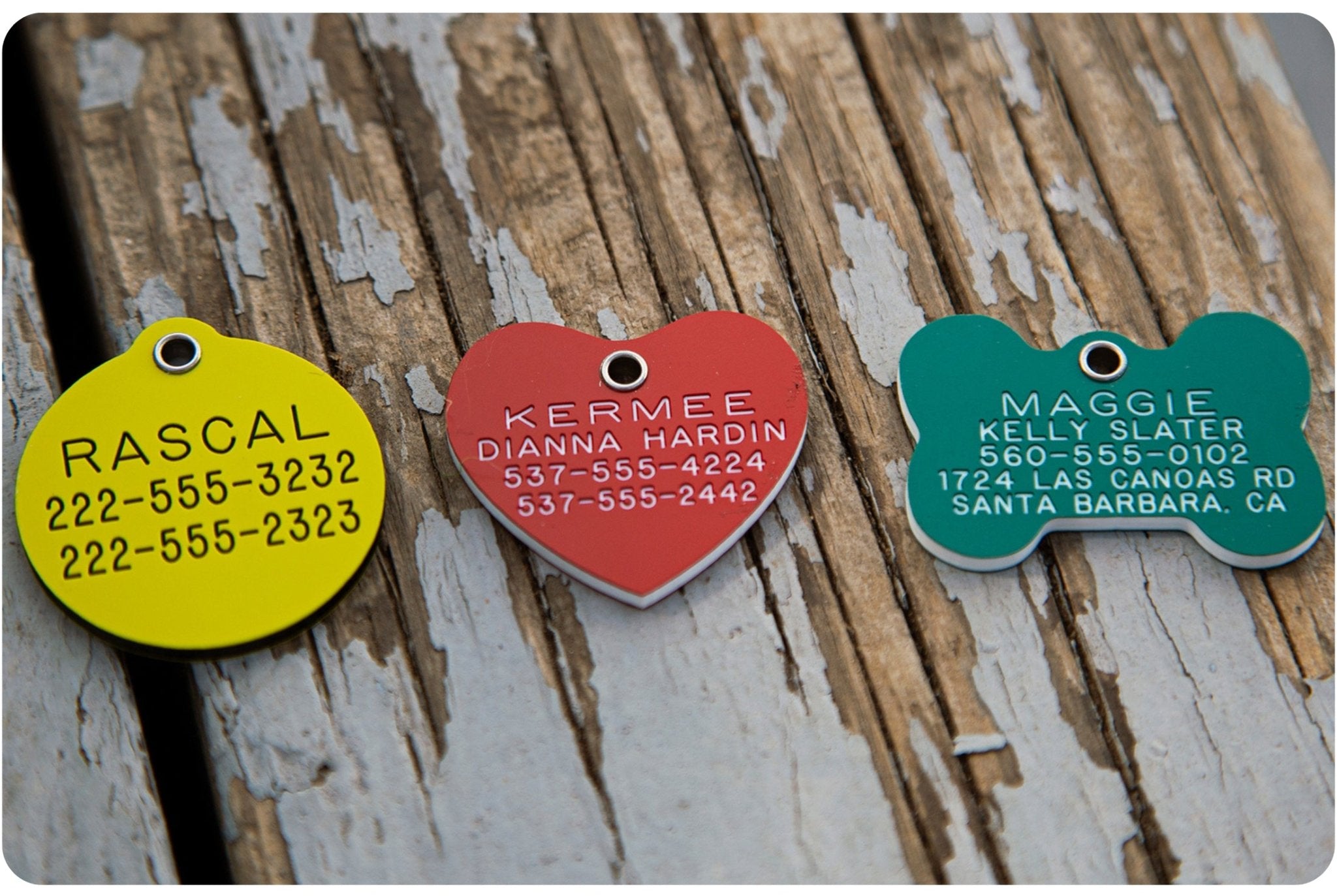 E-Z Read Durable Plastic Dog Tags - Guaranteed Not To Break – The Dog ...