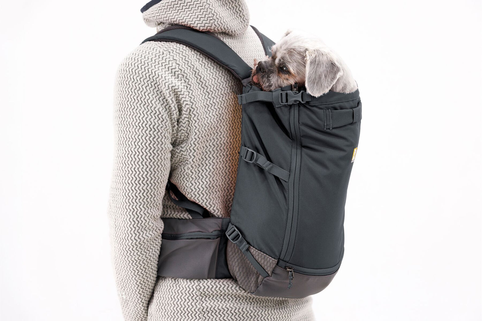 Hitch Hiker™ Dog Bike Backpack Carrier For Dogs Up To 40 lbs. – The Dog ...
