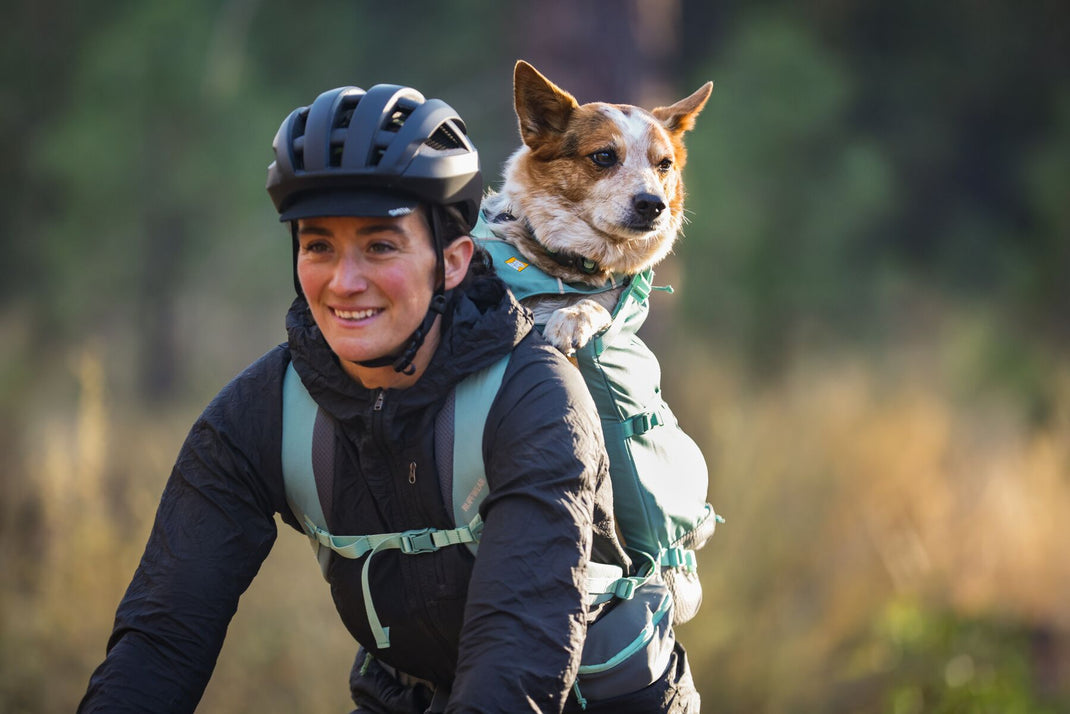 Hitch Hiker™ Dog Bike Backpack Carrier For Dogs Up To 40 lbs. – The Dog ...