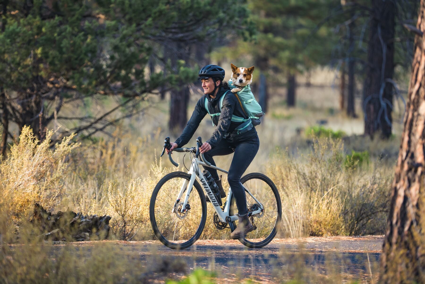Hitch Hiker™ Dog Bike Backpack Carrier For Dogs Up To 40 lbs. – The Dog ...