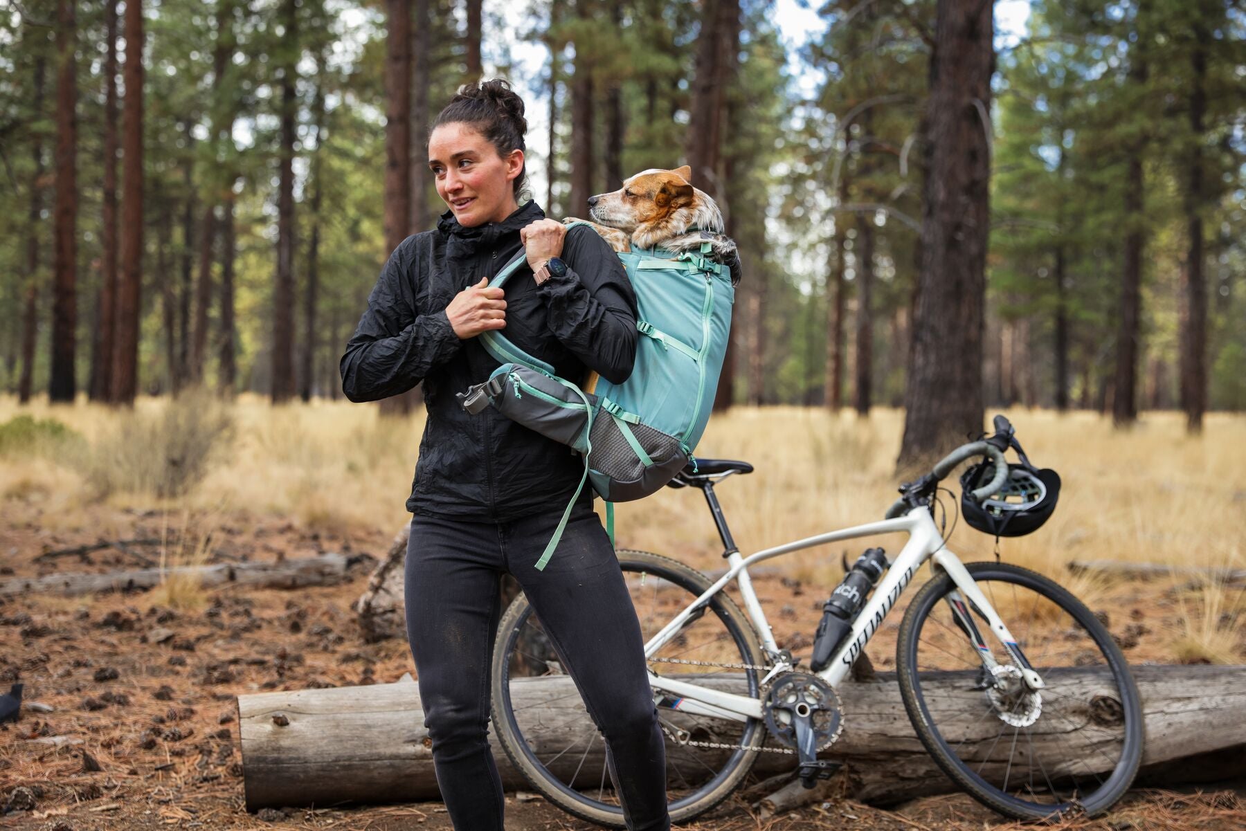 Our Favorite Dog Bike Seats – The Dog Outdoors