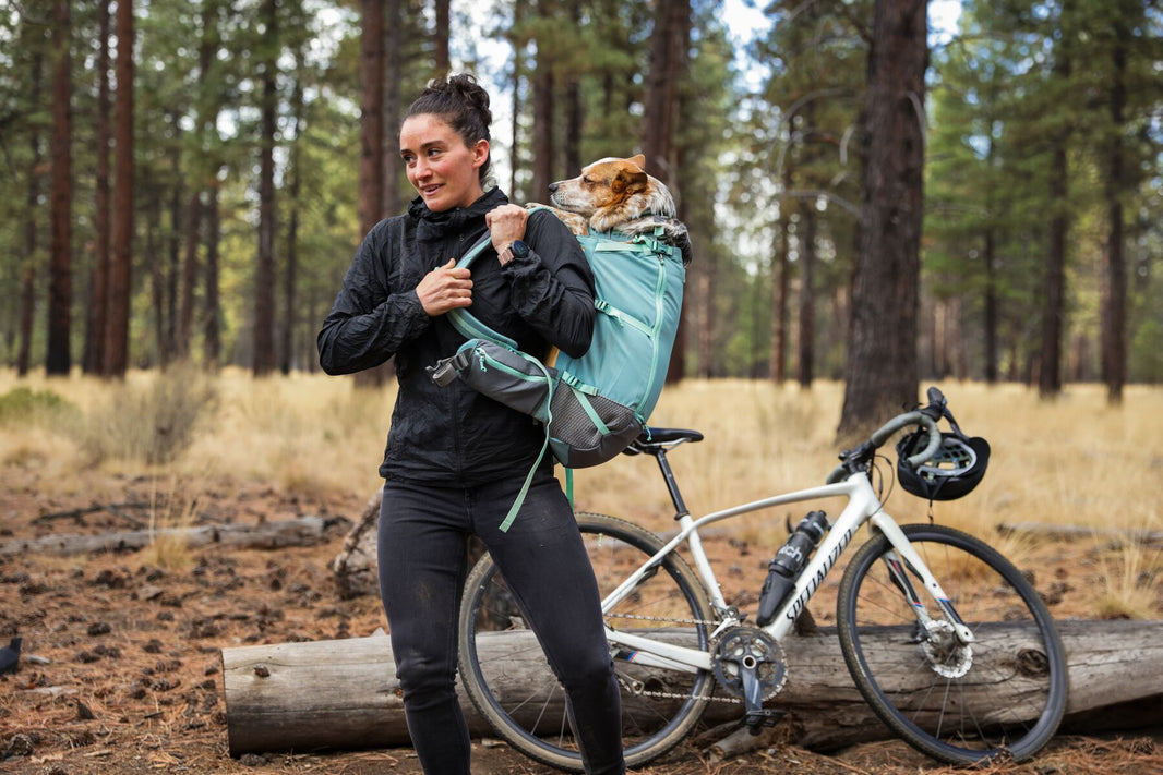 Our Favorite Dog Bike Seats – The Dog Outdoors