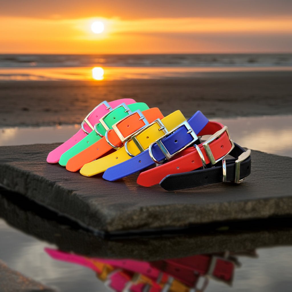 Waterproof Dog Collars Made In The USA | No-Stink Dog Collar Selection ...