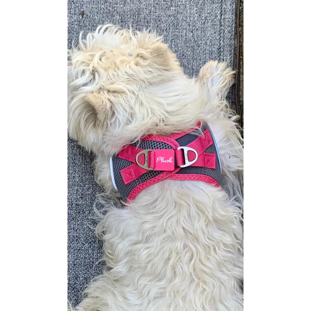 Plush Step In Air Mesh Harness - Shark Grey/Pink – The Dog Outdoors