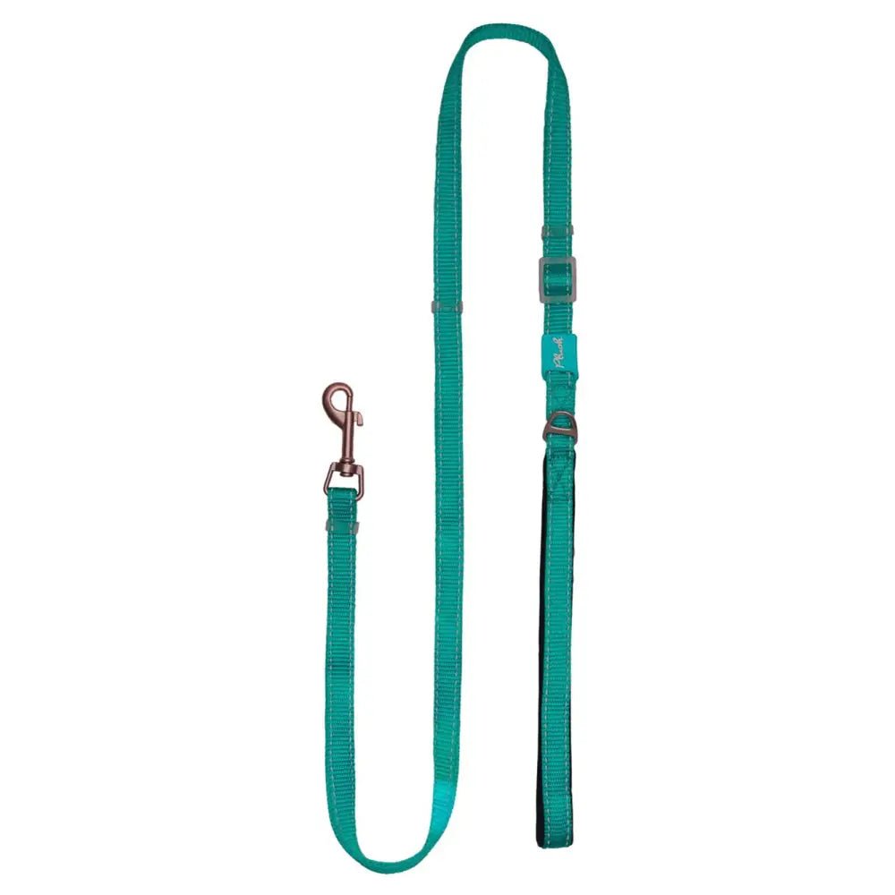 Plush Step In Air Mesh Harness - Turquoise – The Dog Outdoors