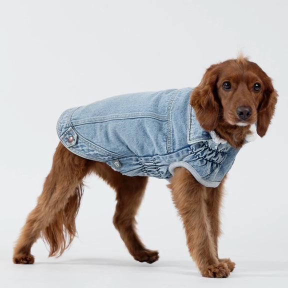 GF PET® Light Wash Denim Dog Jacket | Sherpa-Lined Winter Jean Dog Coat ...