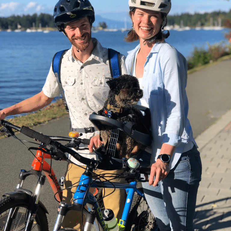 Buddyrider Series 2 Dog Bicycle Seat | Dog Bike Seat For Dogs Up To 25 ...