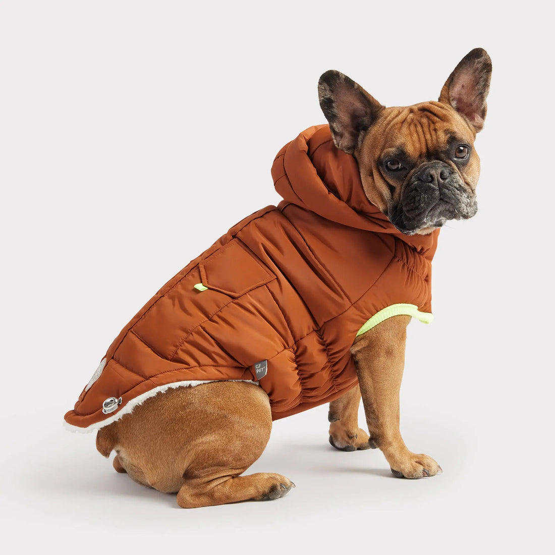 Super Puff Parka Dog Winter Jacket – The Dog Outdoors