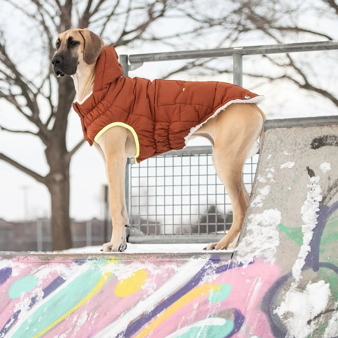 Super Puff Parka Dog Winter Jacket – The Dog Outdoors