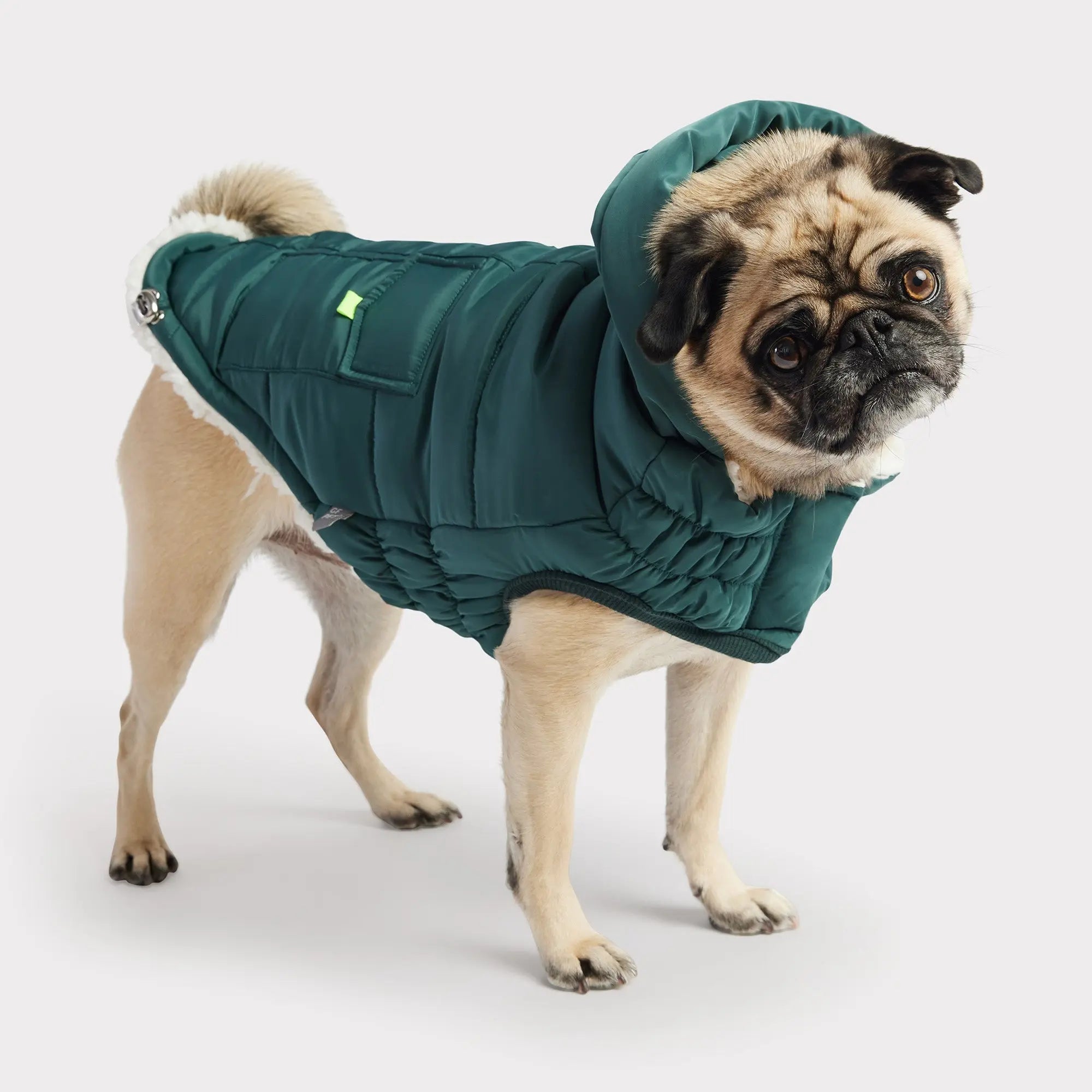 Super Puff Parka Dog Winter Jacket – The Dog Outdoors