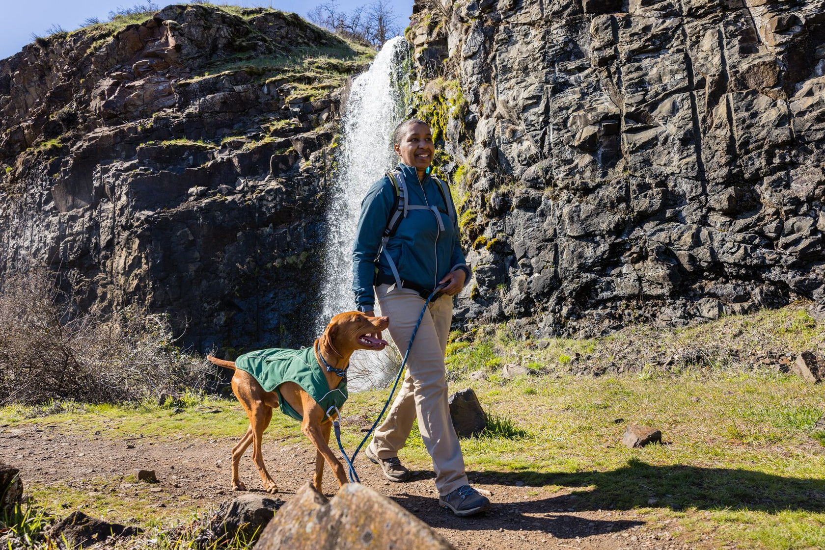 Best Dog Jacket with Built-In Harness: The Overcoat Fuse™ – The Dog ...