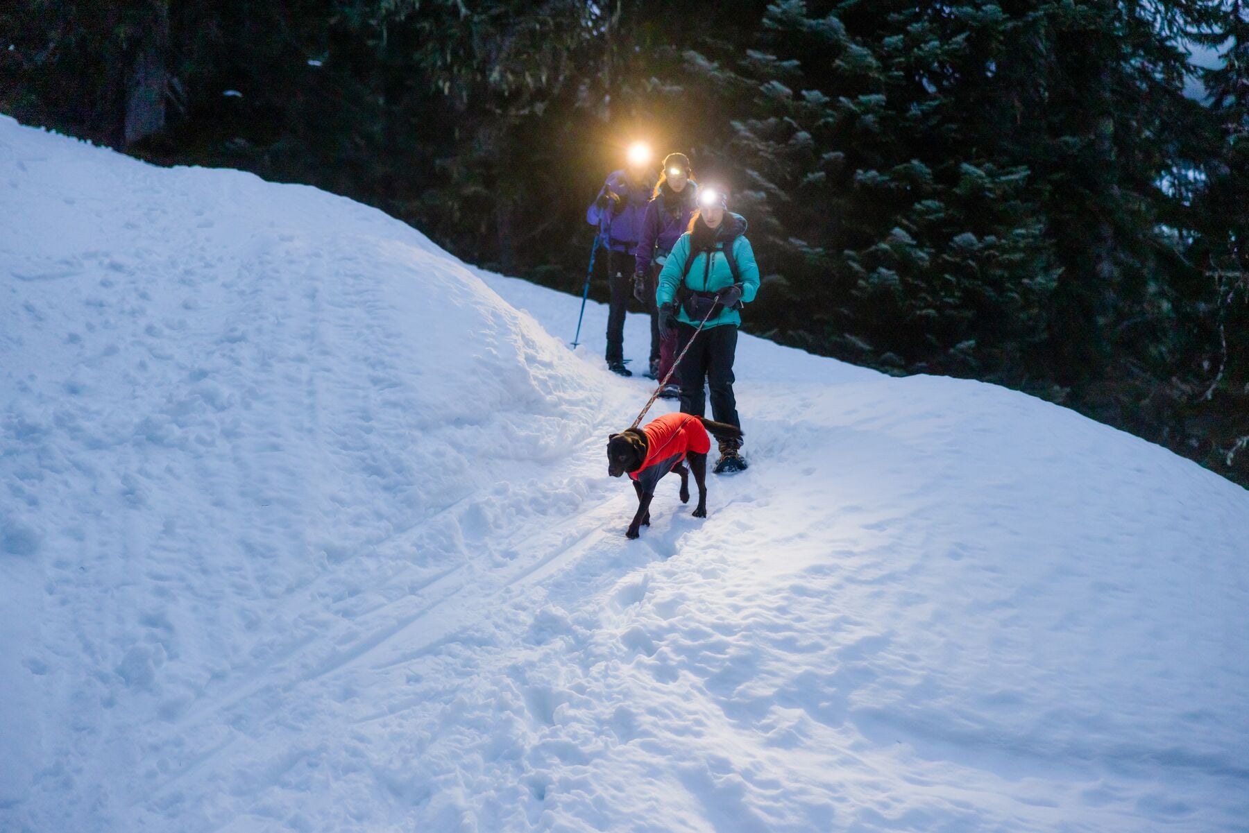 Ruffwear Ultrawarm Furness Dog Winter Jacket – The Dog Outdoors