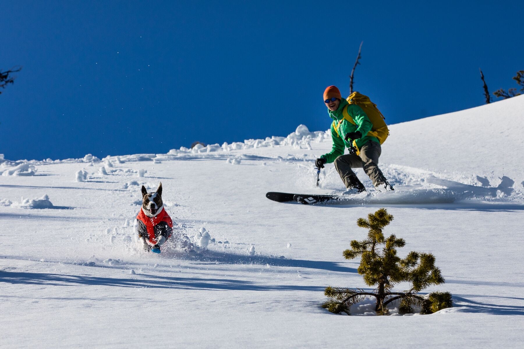 Ruffwear Ultrawarm Furness Dog Winter Jacket – The Dog Outdoors