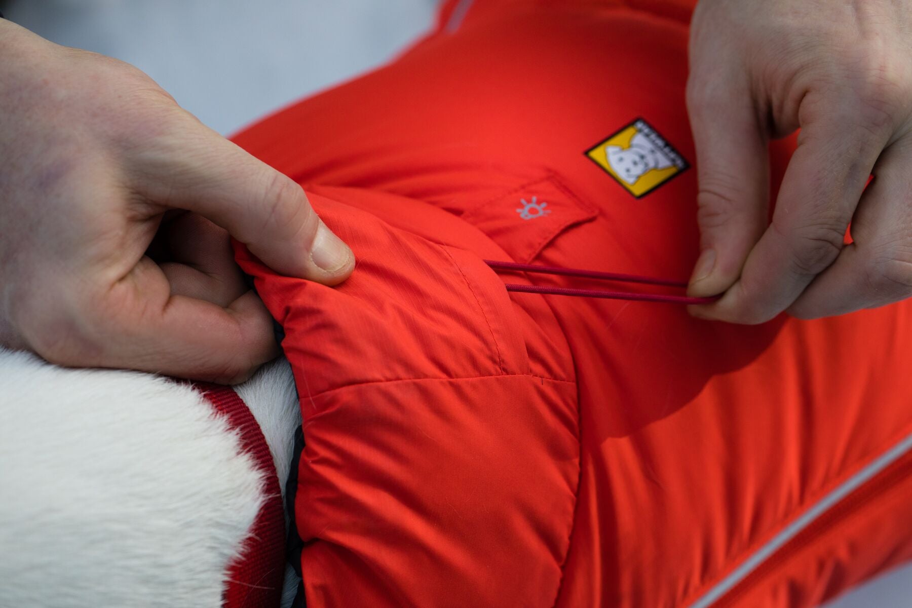 Ruffwear Ultrawarm Furness Dog Winter Jacket – The Dog Outdoors