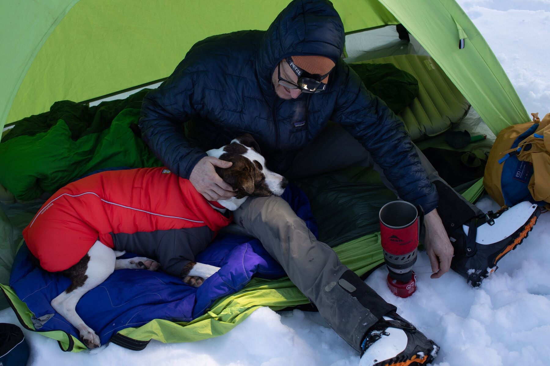 Ruffwear Ultrawarm Furness Dog Winter Jacket – The Dog Outdoors