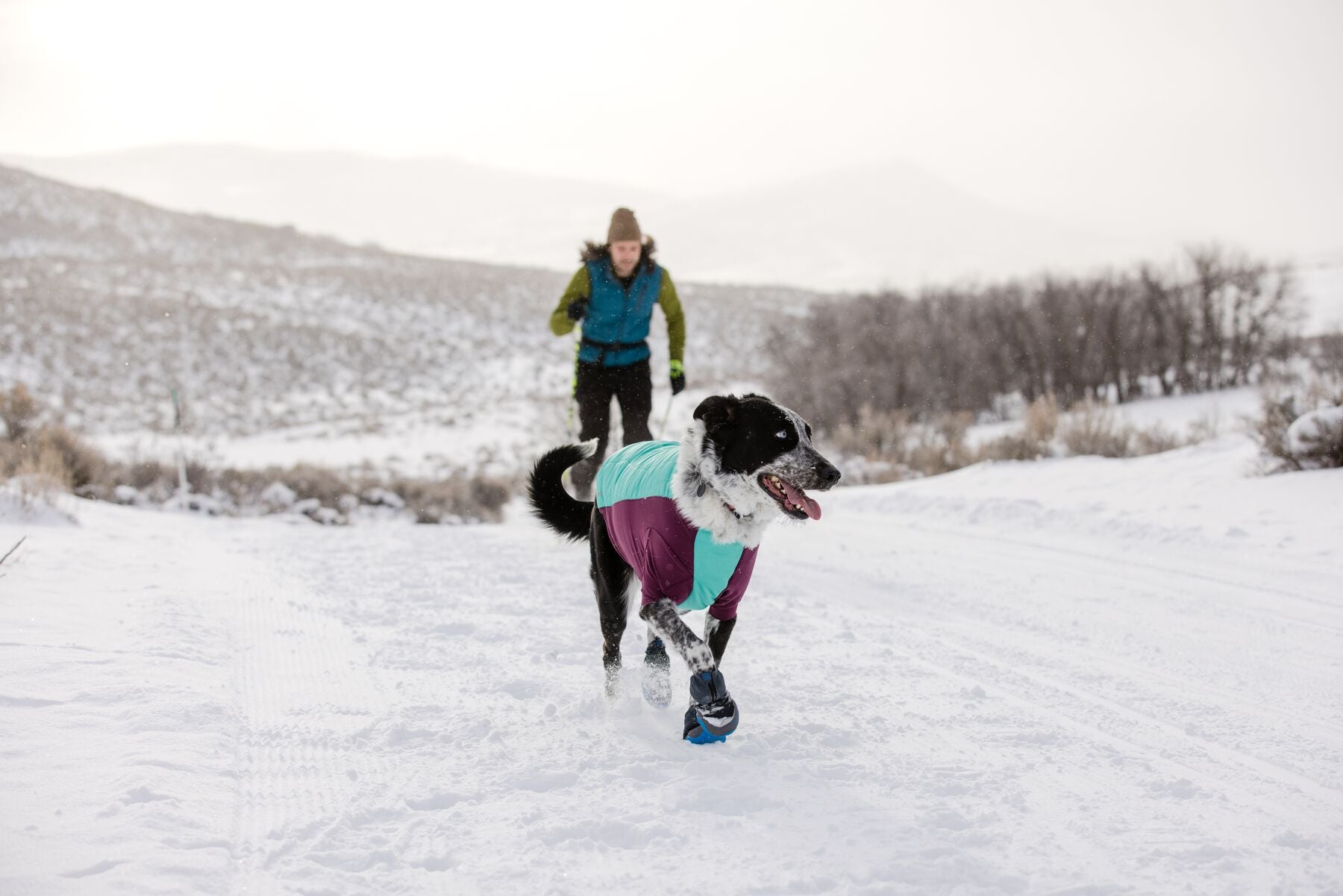 Ruffwear Powder Hound Dog Winter Jacket – The Dog Outdoors