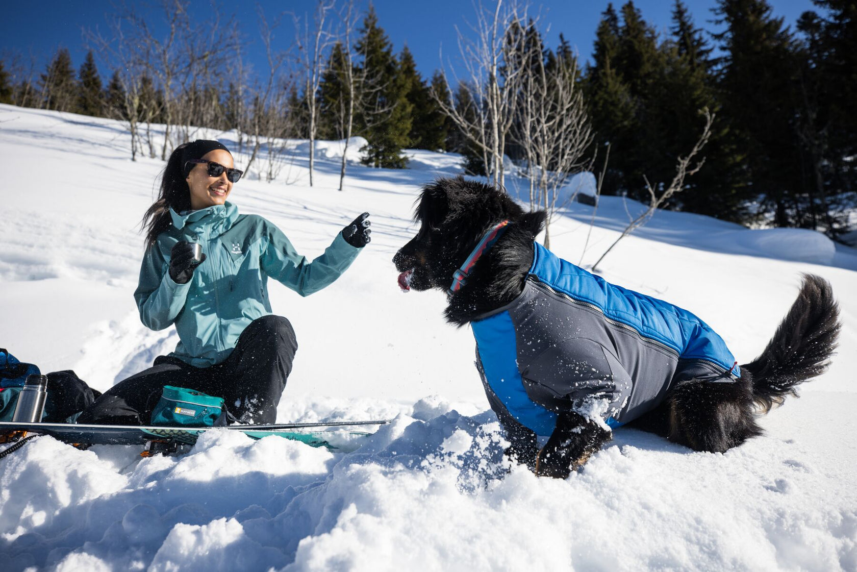 Ruffwear Powder Hound Dog Winter Jacket – The Dog Outdoors