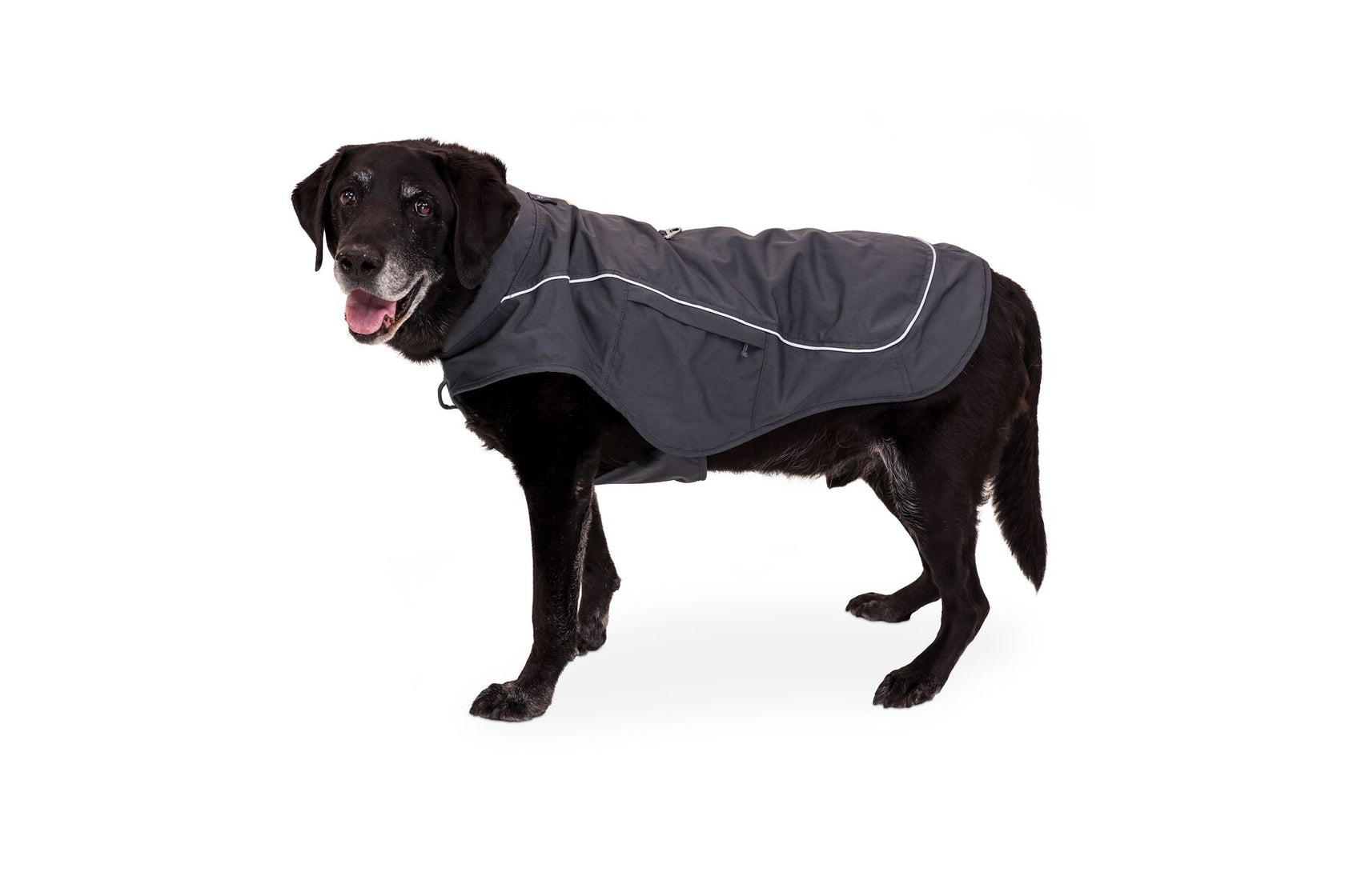 Best Dog Jacket with Built-In Harness: The Overcoat Fuse™ – The Dog ...