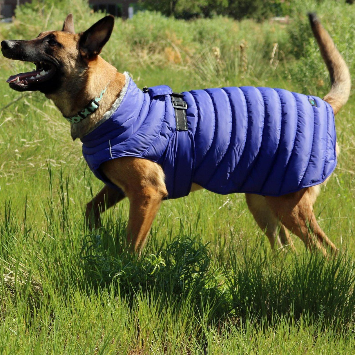 Dog Puffer Jacket - Alpine Extreme Weather Insulated Winter Dog Coat ...