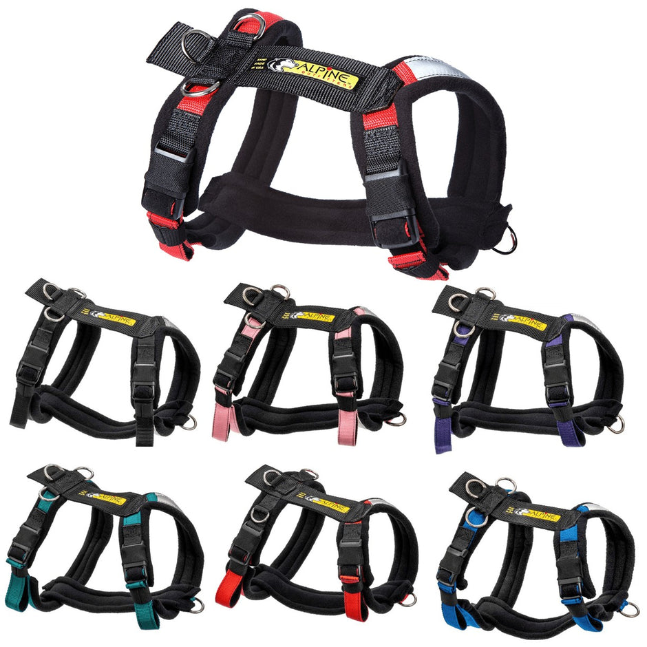 The Dog Outdoors - Your Headquarters For Active Dog Gear & Unique Dog